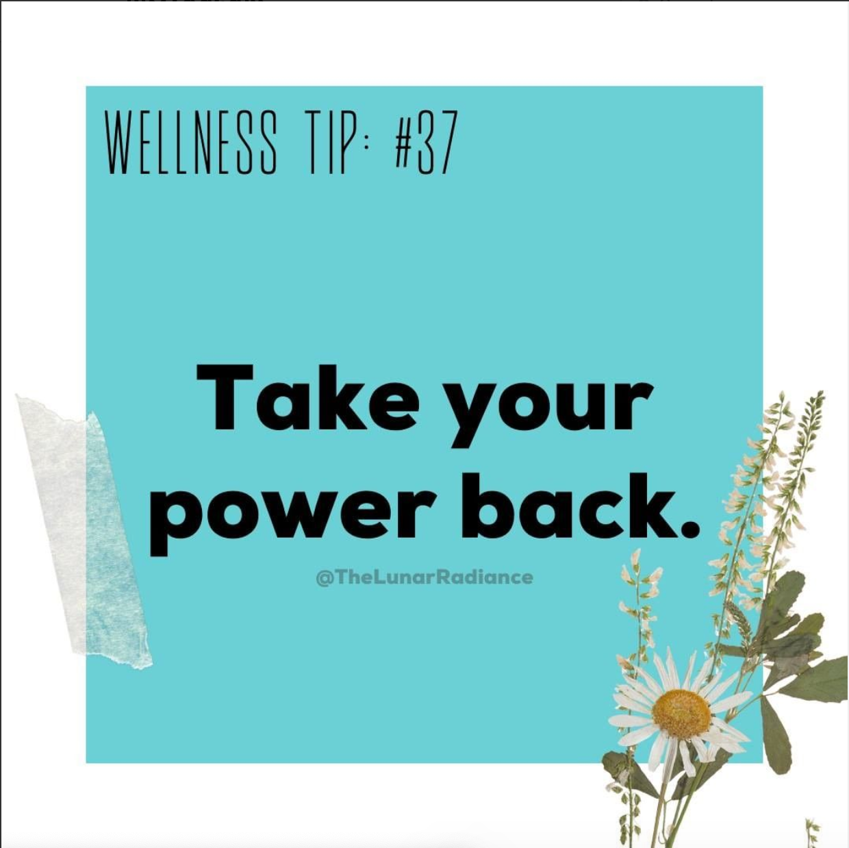 Home - The Lunar Radiance Wellness Center